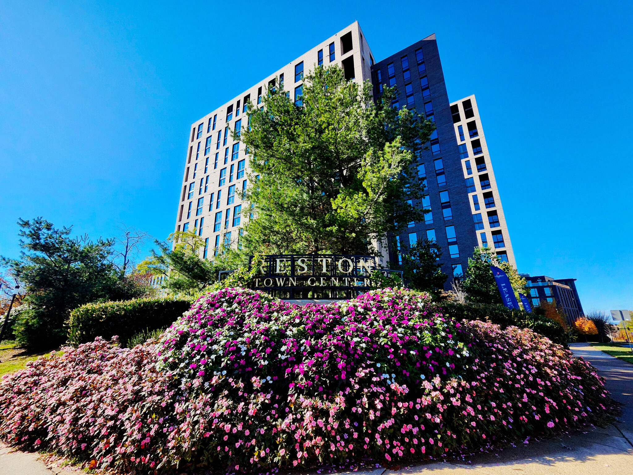 Trusted Pothole Repair Contractors in Reston, VA